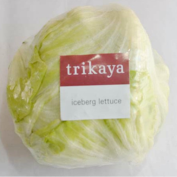 Lettuce Iceberg 250g - Green Goblin